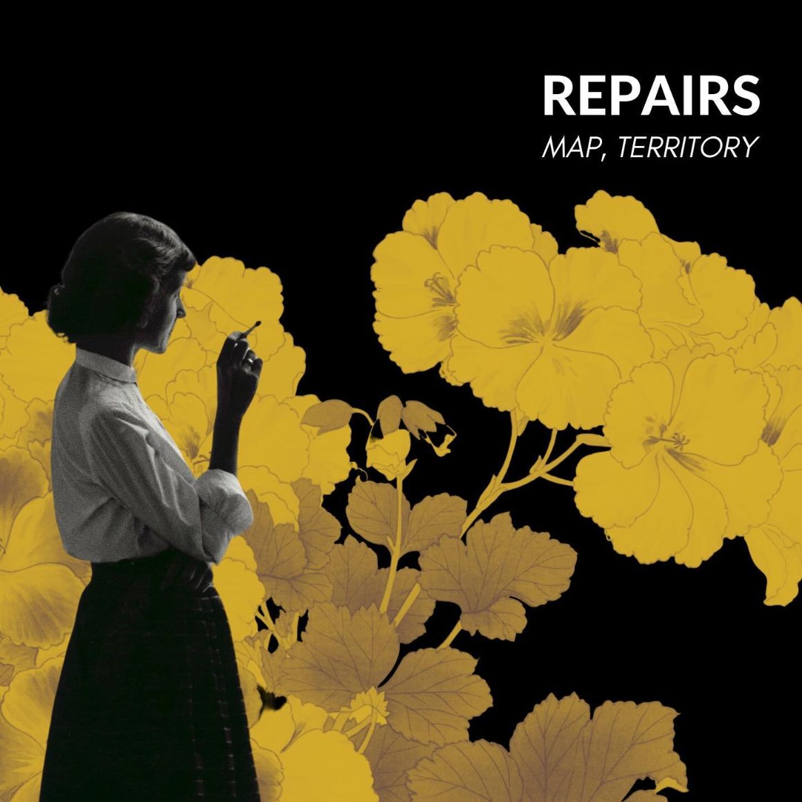 Repairs – Map, Territory – Flash-trax
